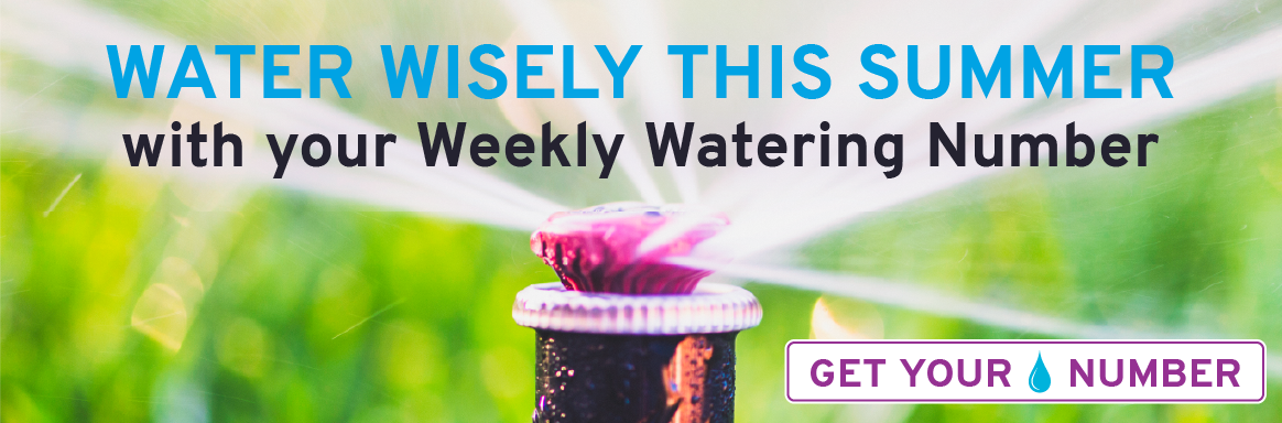 Regional Water Providers Consortium | Drinking water and emergency ...