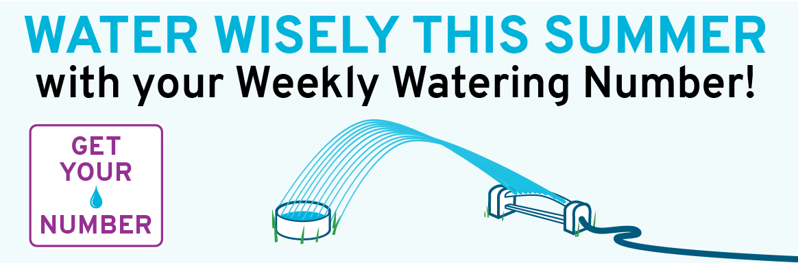 Water Conservation | Regional Water Providers Consortium